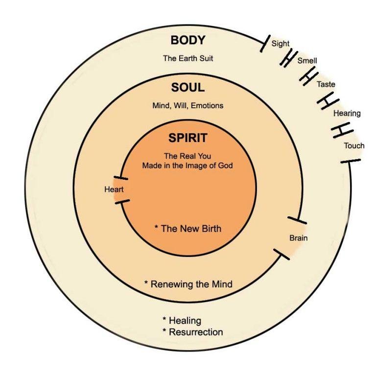 I’m a Believer! – Hungry for the Word